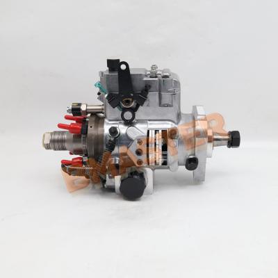China Fuel Injection Pump DB4427-6245 5801641080 for GENERATOR 62 KW NEF4TC2V Engine for sale