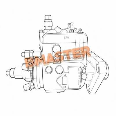 China Fuel Injection Pump DB2435-5197 For 4.41 Engine for sale