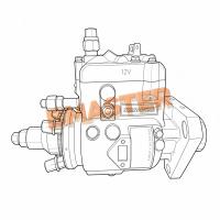 China Fuel Injection Pump DM4829-2910 For 540EC Engine for sale