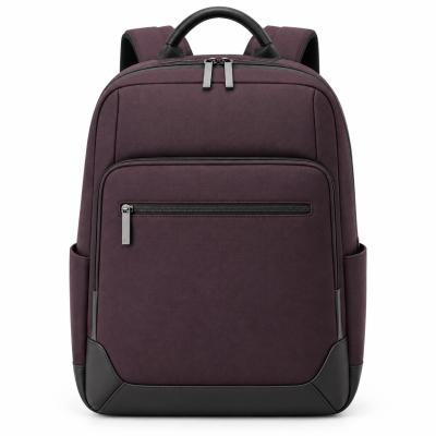 China Professional Business Laptop Backpack, Water-Resistant Travel Computer Backpack with Multi-Layer Storage, Front Zipper Pocket, Side Pockets & Padded Back Support for sale