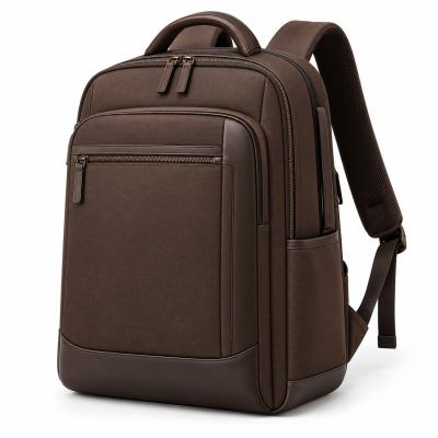 China Premium Business Laptop Backpack for Men, Waterproof Travel Work Backpack with USB Port, Multi-Compartment Computer Bag for Office and Commute for sale