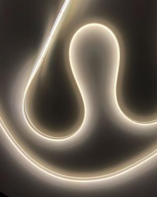 China IP65 Waterproof Strip Light  Silicon Extrusion DC24V LED for sale