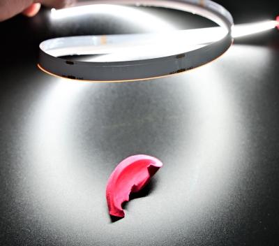 China High CRI Flexible COB LED Strip Sideview 10w 24V DC Dotless Cob Strip Light for sale