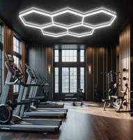 China LED Hexagon Light Super Brightness DIY For Garage, Fitness Room for sale