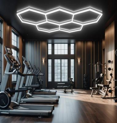China LED Hexagon Light Super Brightness DIY For Garage, Fitness Room for sale