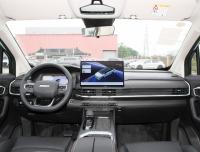 China Commercial Chinese Full Electric Pickup Car EV Fast Charging 4WD RADAR RD6 for sale