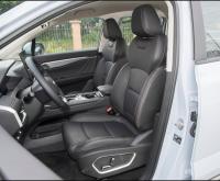 China Commercial Chinese Full Electric Pickup Car EV Fast Charging 4WD RADAR RD6 for sale