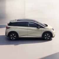 China Compact 2025 BYD Dolphin BYD EV Car Pure Electric Panoramic Canopy Range 420km for sale