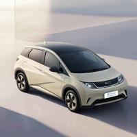 China Compact 2025 BYD Dolphin BYD EV Car Pure Electric Panoramic Canopy Range 420km for sale