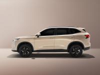China 2.0T 2WD 4WD Haval H6 Hybrid Phev Automobile Compact SUV for sale