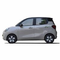 China 2024 Wuling Hongguang MINIEV Pure Electric Compact Car 220V for sale