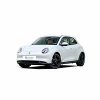 China All Electric 2024 Mini EV Car GWM Ora Funky Cat Hatchback 5 Seater for sale