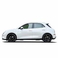 China All Electric 2024 Mini EV Car GWM Ora Funky Cat Hatchback 5 Seater for sale