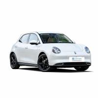 China All Electric 2024 Mini EV Car GWM Ora Funky Cat Hatchback 5 Seater for sale