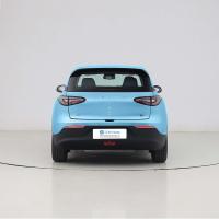 China Geometry A electric car One-touch opening of the intelligent cockpit, the ultimate in luxury. for sale
