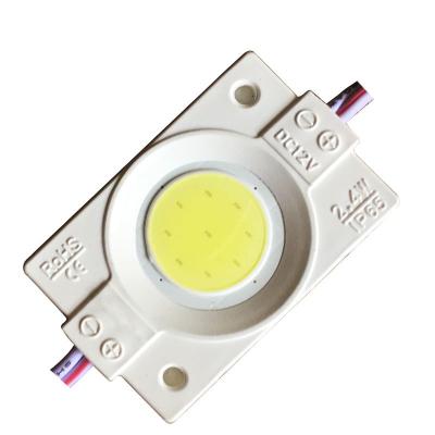 China SMD Injection LED Module DC 12V 24V COB 2.4W 45x28mm for Channel Letter for sale