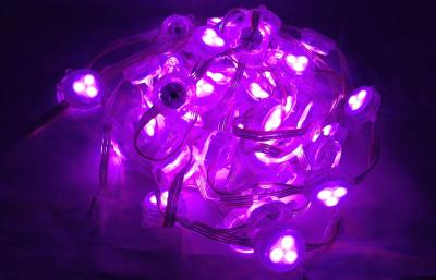 China RGB Pixel Color Temperature DC12V 1W Fairy Light Curtain 50pcs IP67 for sale