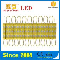 China IP65 Waterproof LED Module DC12V 24V Tri-Color 0.3W Energy Efficient Signage Light Box for sale