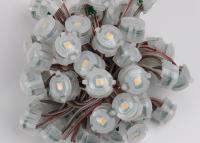 China DC12V 20mm SMD 5050 IP67 LED Pixel Light 2000mcd Outdoor Christmas Decoration for sale