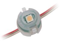 China DC12V 20mm SMD 5050 IP67 LED Pixel Light 2000mcd Outdoor Christmas Decoration for sale