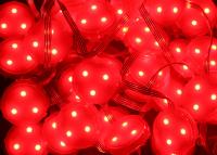 China Smart WiFi Outdoor RGBW LED Pixel Light IP67 Waterproof 12V 1W for Christmas Holiday Decor for sale