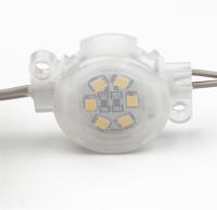 China 0.6W LED Point Light Outdoor DC12V 30x12mm IP67 30000 Hours Epistar SMD2835 for sale