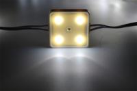 China Miracle Bean LED Light Module SMD2825 0.75W DC12V IP67 Stainless Steel Base for sale