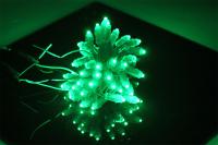 China 9mm Green Outdoor Waterproof LED Pixel Light IP67 0.2W DC12V 50pcs per String for sale