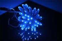 China IP67 0.2W Outdoor LED Pixel Light 9mm DC12V Blue SMD2025 160 Degree for sale