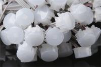 China 20mm 0.3W LED Point Light DC12V IP67 Waterproof SMD5050 Epistar 30000H for sale