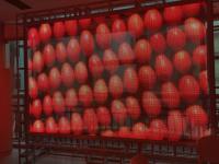 China Soft P8 Transparent LED Screen Indoor Full Color Display - 8mm Pixel Pitch, 5000+ cd/m² Brightness for sale