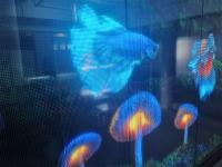 China P16 DC5V RGB Color LED Transparent Film Screen 3906Dot Indoor Installation for sale