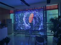 China Miracle Bean Flexible P8 Transparent LED Film Display SMD1314 DC5V RGB 15625Dot/m² 80% Transparency for sale