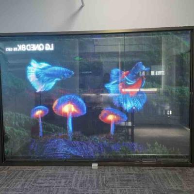 China Indoor Transparent LED Film Display - 6.25mm Pitch, 5000 cd/m² Brightness, Flexible Full Color Screen for sale