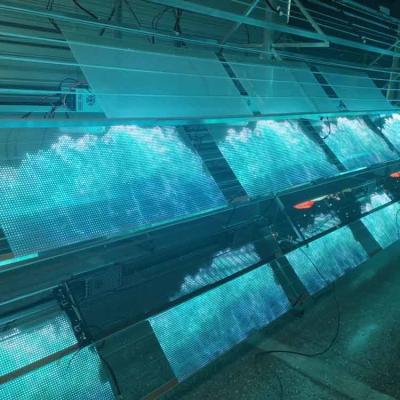 China Sticky Flexible Film LED Display 480x960mm 8mm Pitch Transparent Screen for Glass for sale