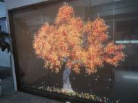 China 6.25mm Pixel Pitch RGB LED Transparent Screen for Shop Windows - 5000+ cd/m² Brightness Outdoor Display for sale
