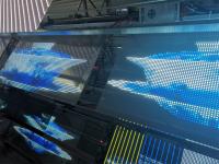 China Ultra-Thin P20 Transparent LED Film Screen 240x960mm Self-Adhesive Indoor Display for sale