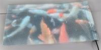 China IP64 Flexible Transparent LED Film Screen P8 Outdoor 480x960mm for Building Glass for sale