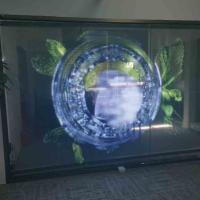 China Flexible LED Transparent Film Screen P6.25 78% Transparency 400×960mm for Advertising Display for sale