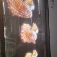 China Outdoor Advertising Ultra Thin Crystal Screen P16 RGB Flexible Transparent LED Display 16mm Pixel Pitch for sale