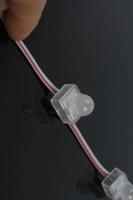 China DC12V IP67 12mm RGB DMX512 Programmable LED Pixel String Lights 50pcs 0.3W for Holiday Decoration for sale