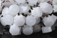 China Miracle Bean LED Pixel Light 20mm DC12V 0.6W IP67 RGB SMD2835 Outdoor Landscape Lamp for sale