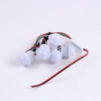 China 12V RGB LED Amusement Lamp with 50,000 Hour Lifespan - Pre-Programmable Plastic Lighting for Entertainment Rides for sale