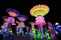 China RGB 63mm LED Amusement Lamp DC12V 2W Outdoor Christmas Light DMX512 IP67 for sale