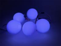 China 63mm RGB LED Pixel Light 12V 2W IP67 Outdoor Decorative Lamp for Amusement Park Rides for sale