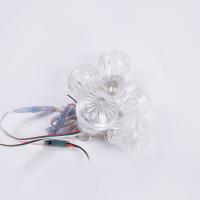 China SMD5050 30mm RGB LED Point Light 1W DC12V-24V for Amusement Park Rides for sale