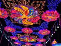 China IP67 Waterproof Outdoor Christmas Lights 12V RGB LED Permanent Amusement Lamp 60mm for sale