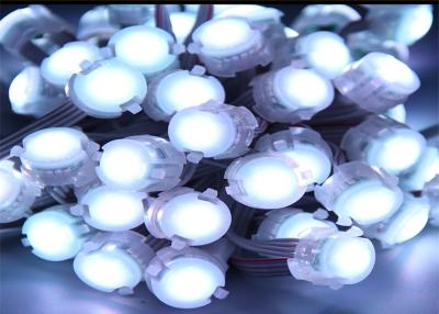 China Customized 5050 0.25W LED Point Light White Single Color 20mm Pixel DC12V for sale