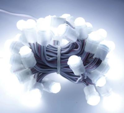China White LED Pixel String Light 50 LEDs DC 12V 9mm Outdoor Waterproof IP85 for sale