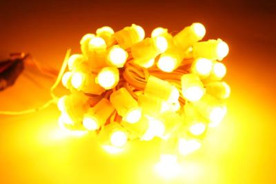 China Miracle Bean LED Christmas Decorations LED Point Light Single Color LED Pixel Light for sale